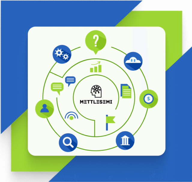 Silicon Solutions and Services - Mettlesemi